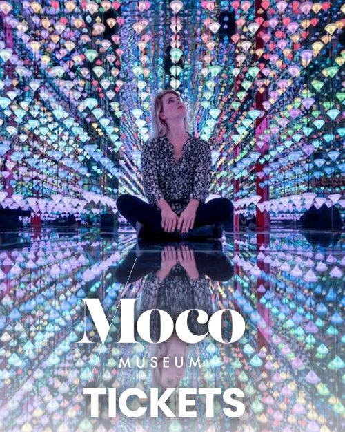 Moco Museum Tickets | Public Transport Holland Shop
